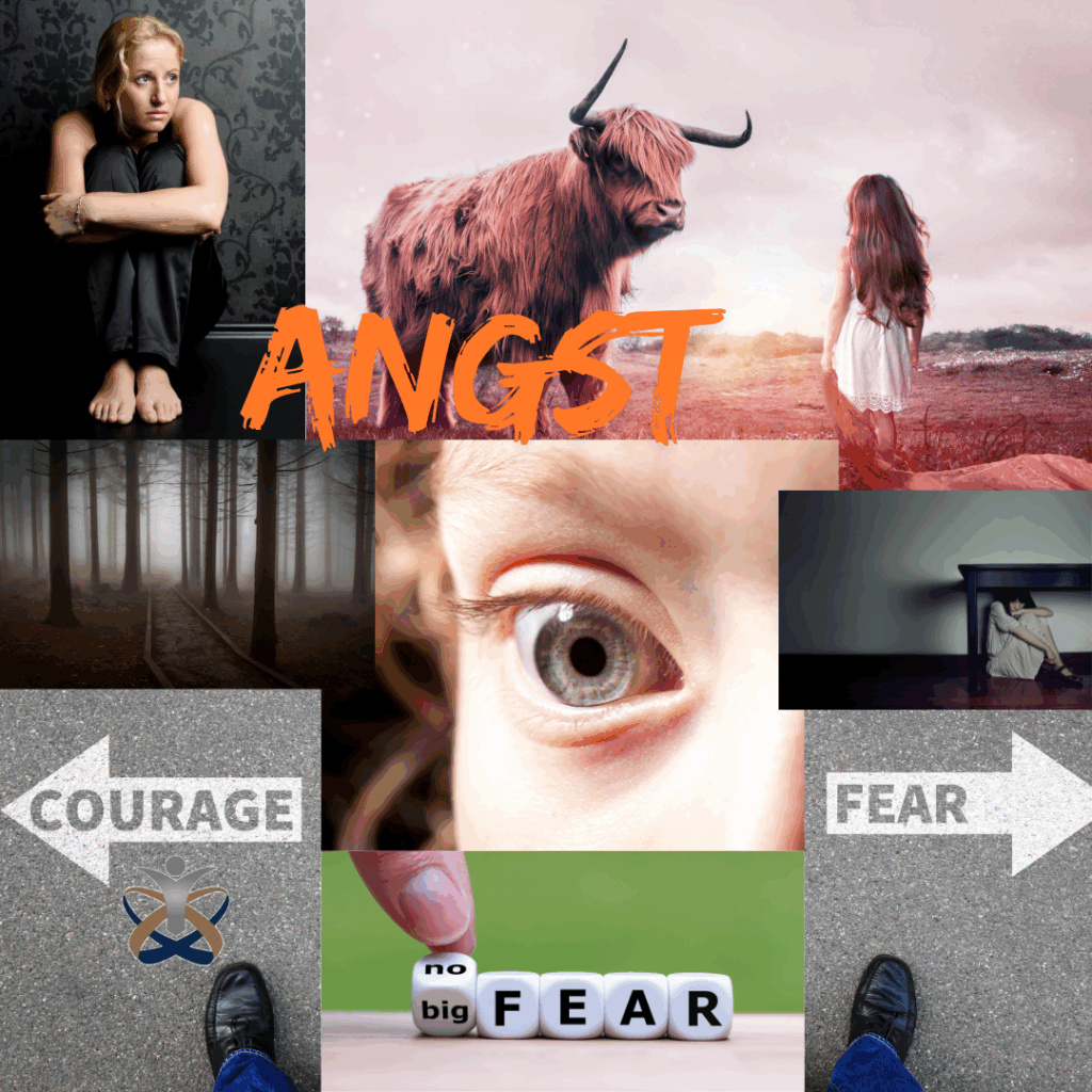 😰Angst - Mach sie zu Deiner Verbündeten.🤝 - Monika Raulf co-pha.com